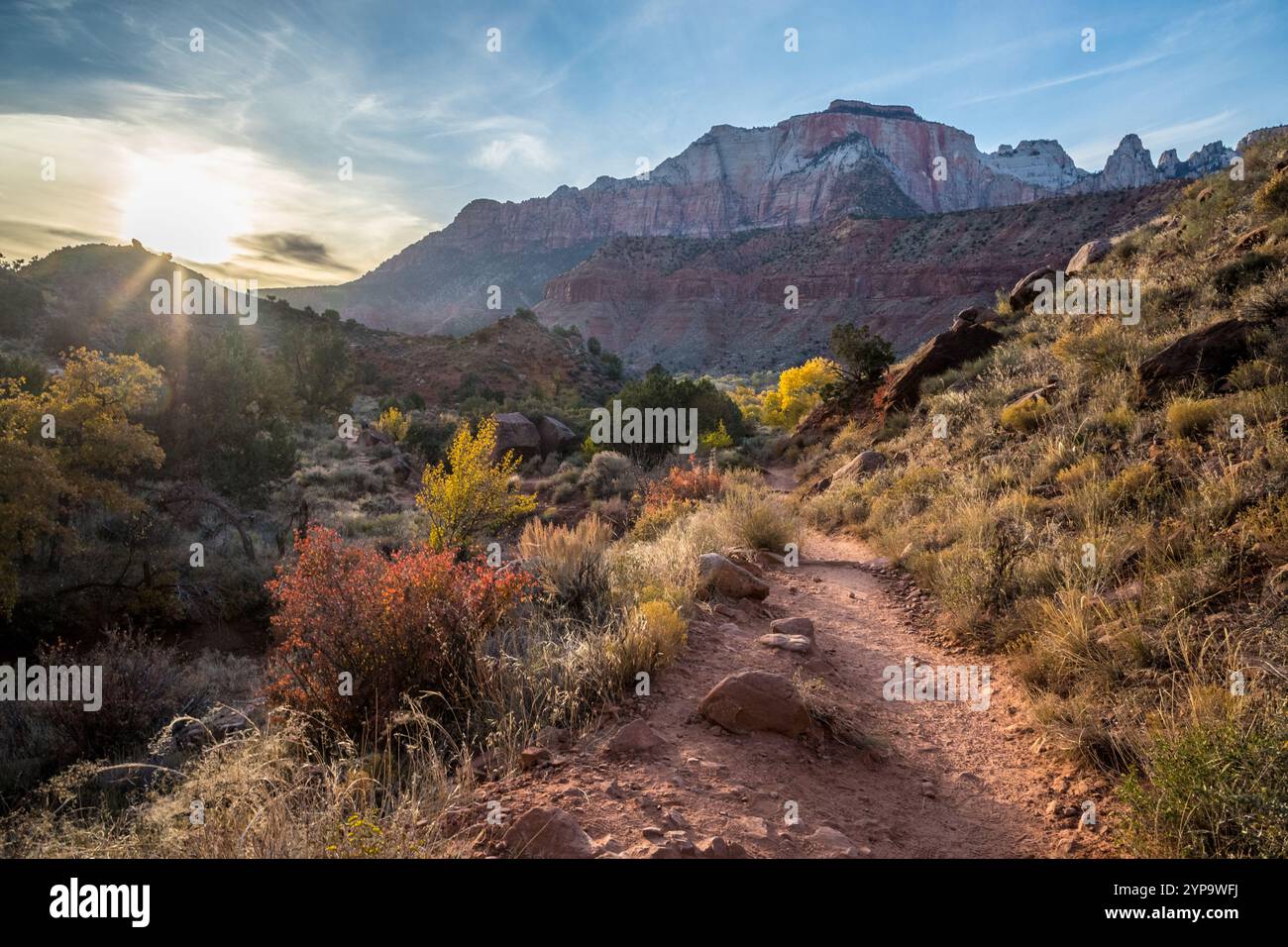 Experience the stunning landscape of Springdale, Utah, as you journey ...
