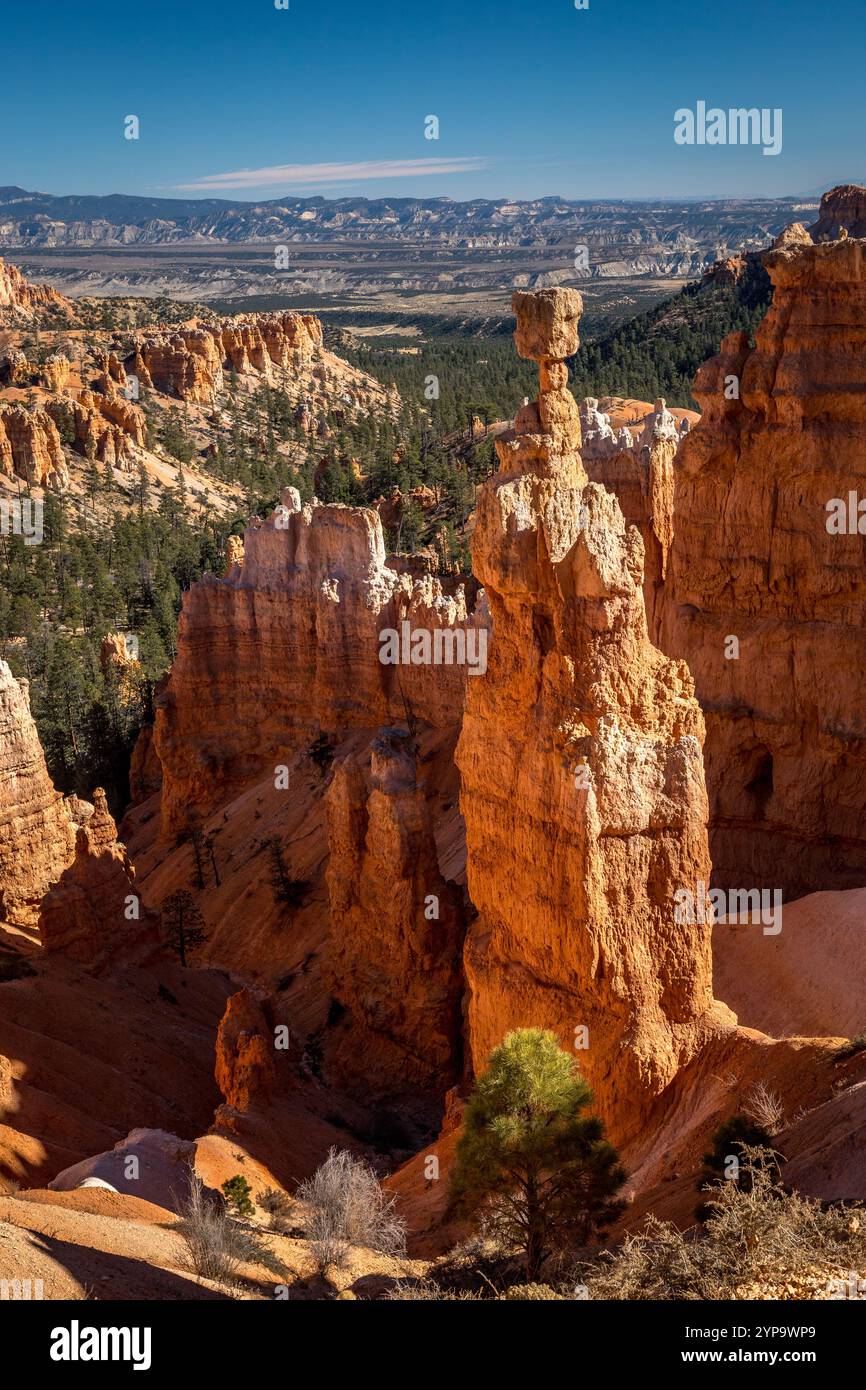 Thor's Hammer towers against the blue sky, highlighting Bryce Canyon's ...