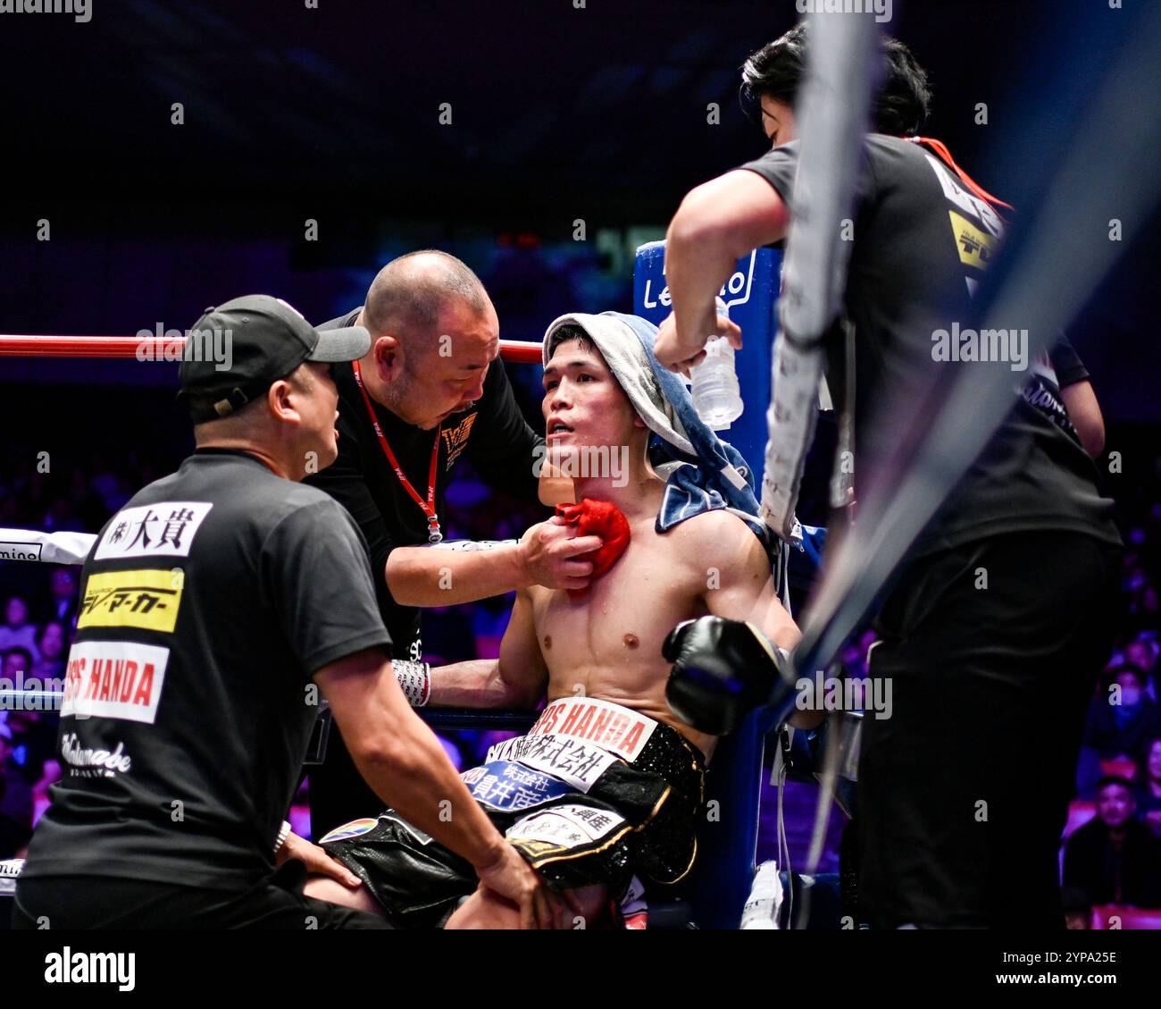 Tokyo, Japan. 21st Nov, 2024. Japan's Shu Utsuki receives treatment and listens to his trainers ...