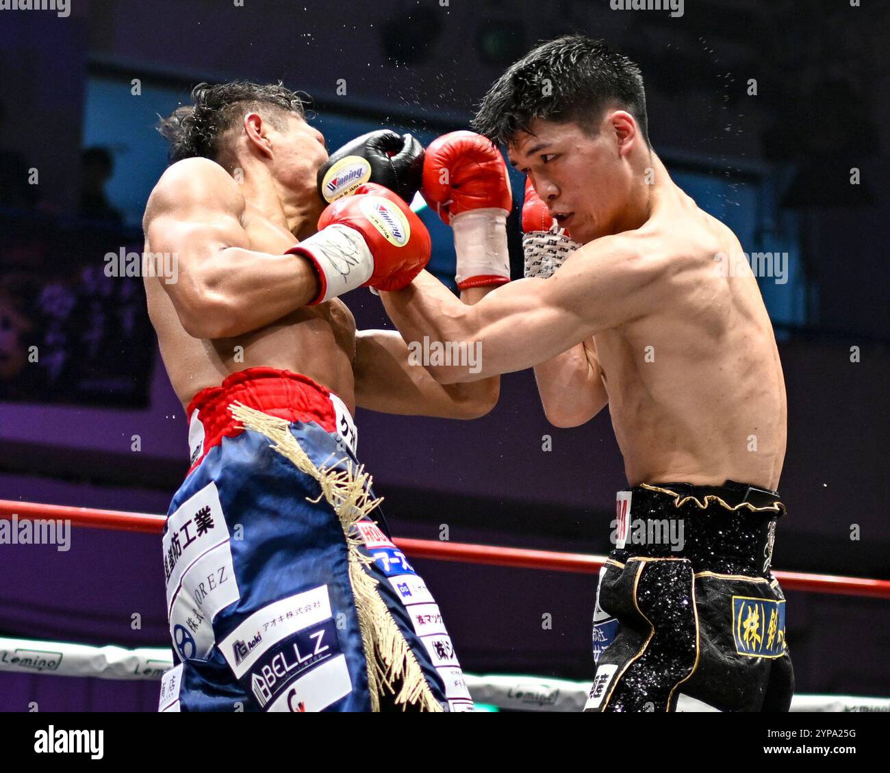 Tokyo, Japan. 21st Nov, 2024. Shu Utsuki (black gloves) hits Katsuya Yasuda (red gloves) in the ...