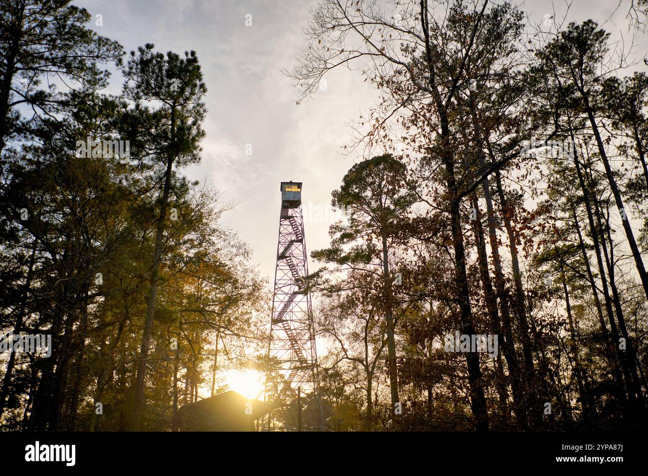 The sun rises behind a tall fire observation tower Stock Photo - Alamy