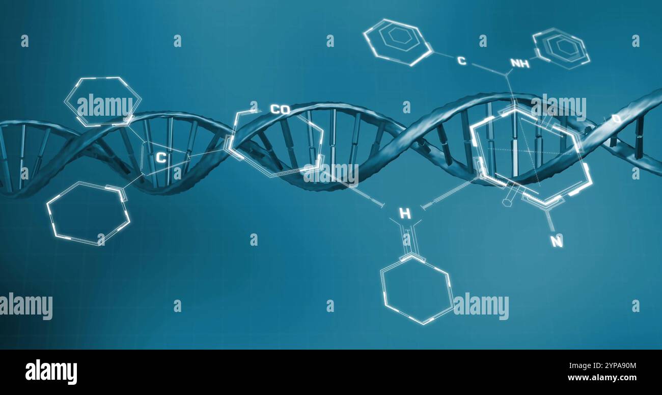 Image of scientific data processing over dna strand spinning Stock Photo - Alamy