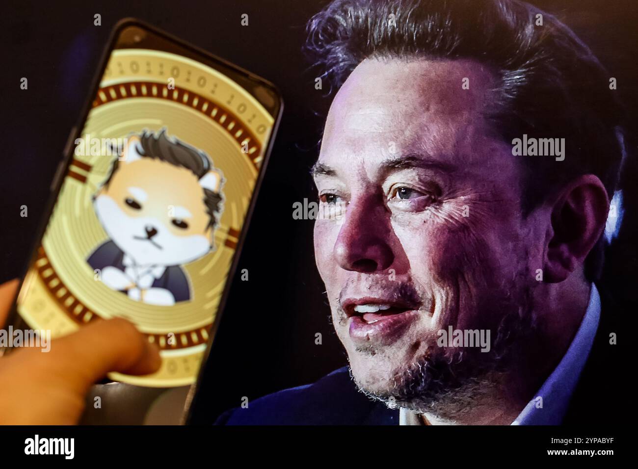 In this photo illustration, the Dogelon Mars logo is seen displayed on ...