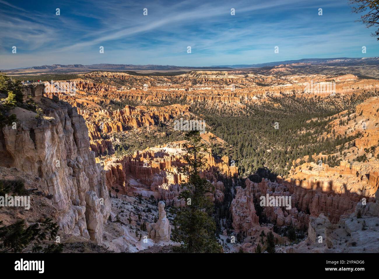 Witness the stunning beauty of Bryce Canyon National Park from the Rim ...