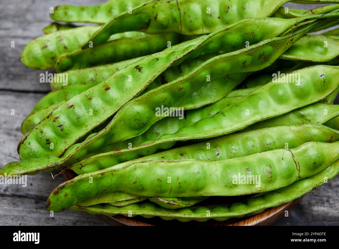 Bitter bean parkia speciosa hi-res stock photography and images - Alamy