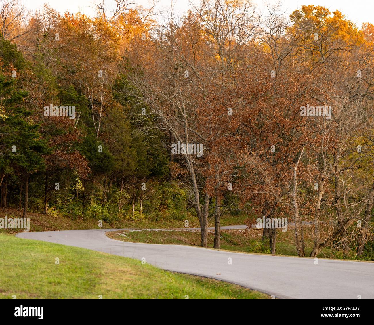 Old country road winding hi-res stock photography and images - Alamy