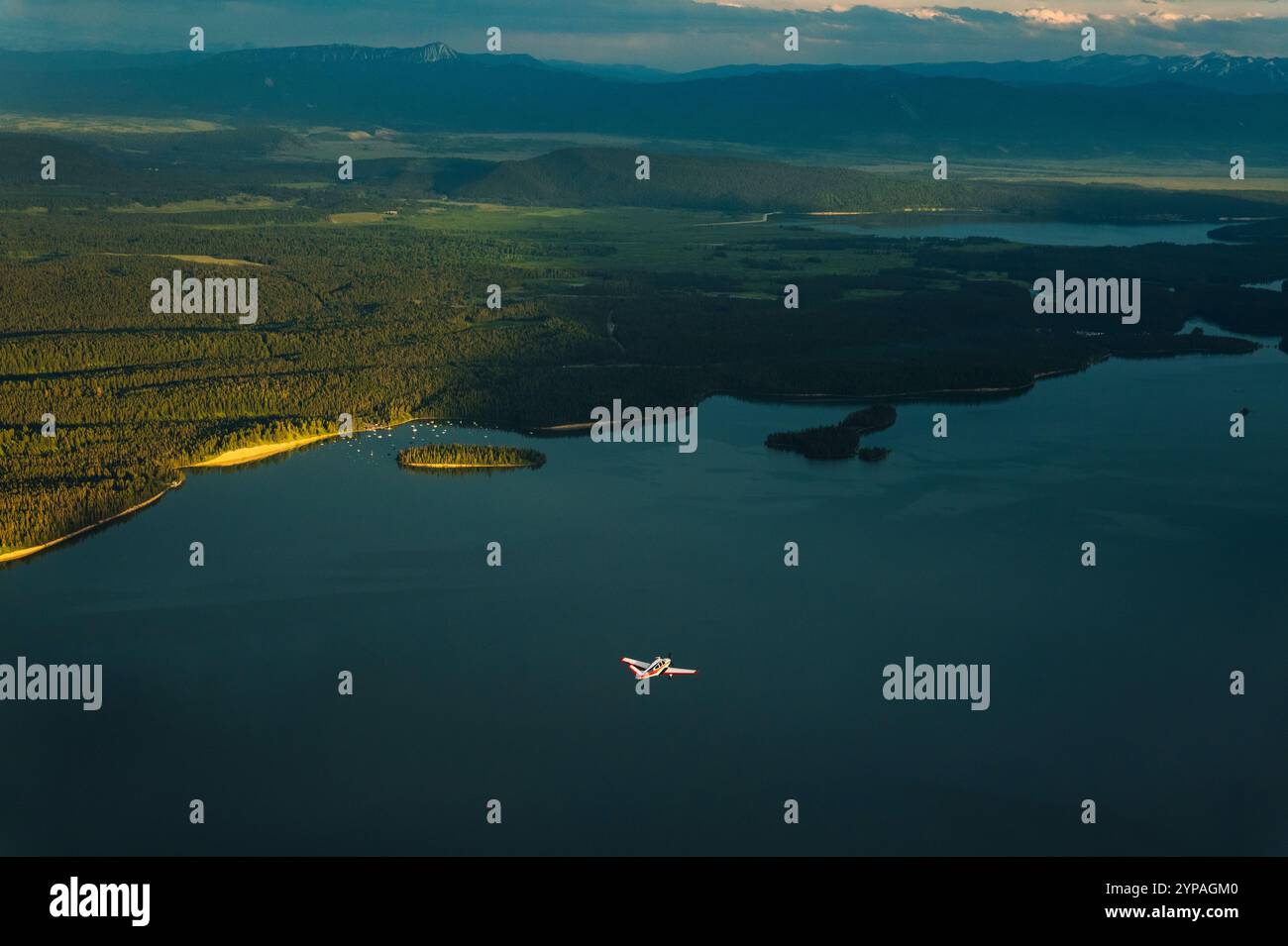 Plane flies high altitude above hi-res stock photography and images - Alamy