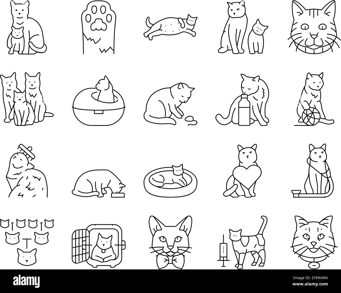 cat breeding genetics cattery icons set vector Stock Vector Image & Art ...