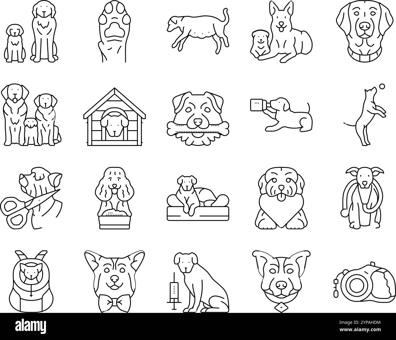 dog breeding genetics pedigree icons set vector Stock Vector Image ...