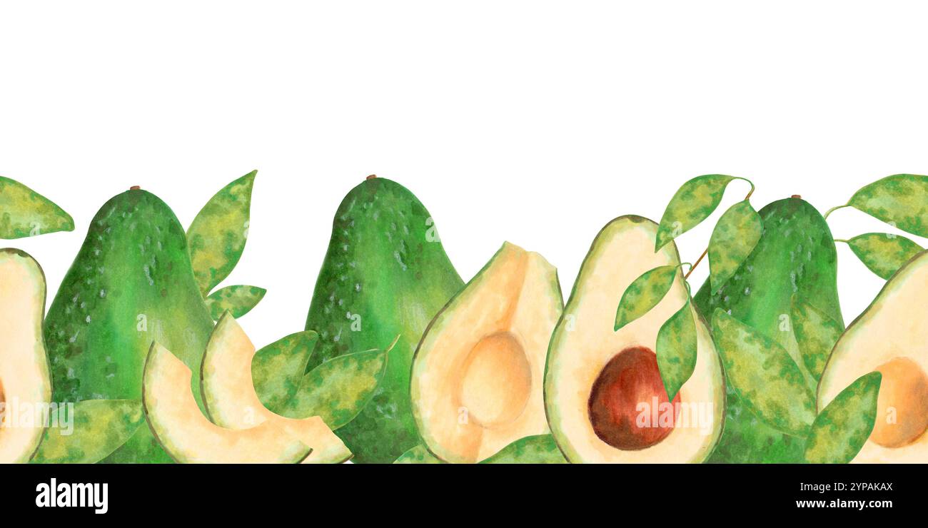 Seamless border with avocado both whole and sliced fruits with leaves ...