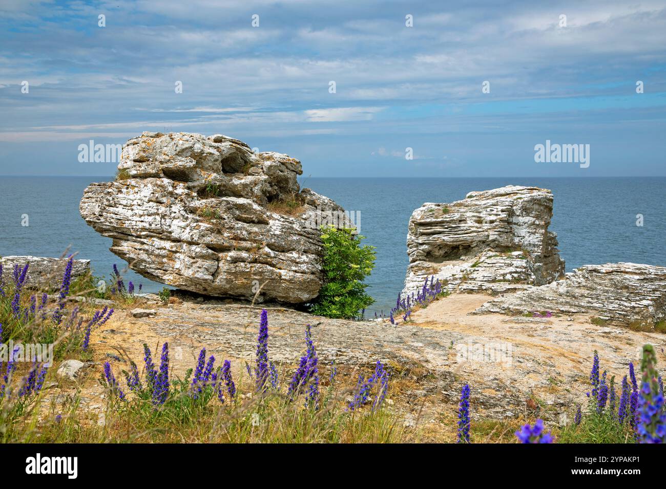 Raukar on the cliffs of Hoburgen, Sweden, Gotland, Sundre Stock Photo ...