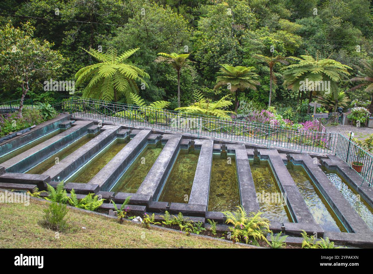 Africa trout farm hi-res stock photography and images - Alamy