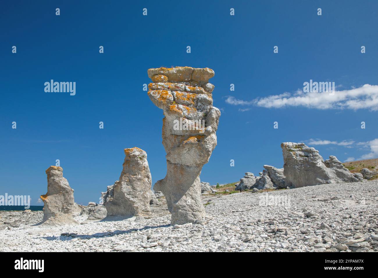 Raukar area on the Baltic coast in the Langhammars reserve, Sweden ...