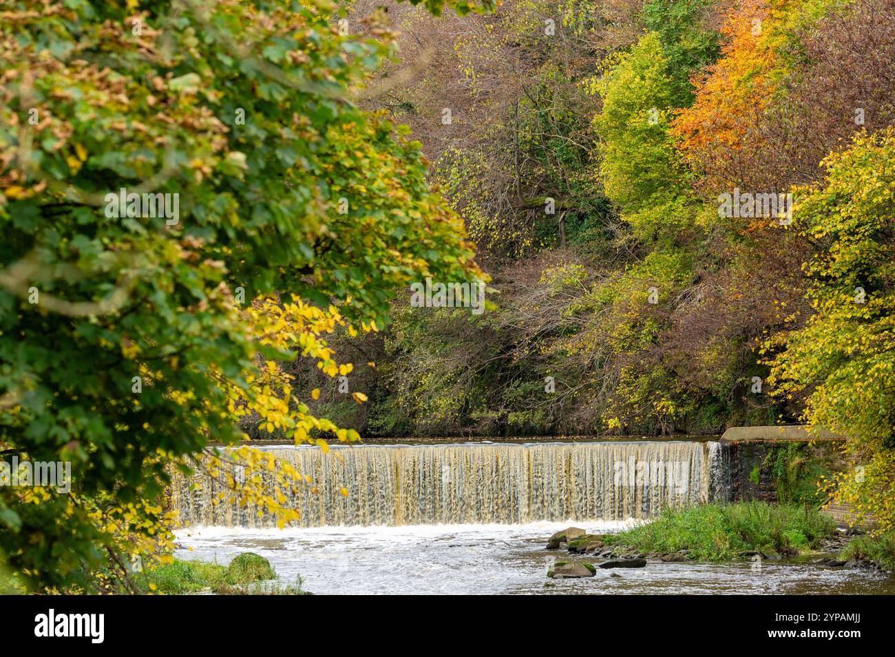 Weir in autumn woodland hi-res stock photography and images - Alamy