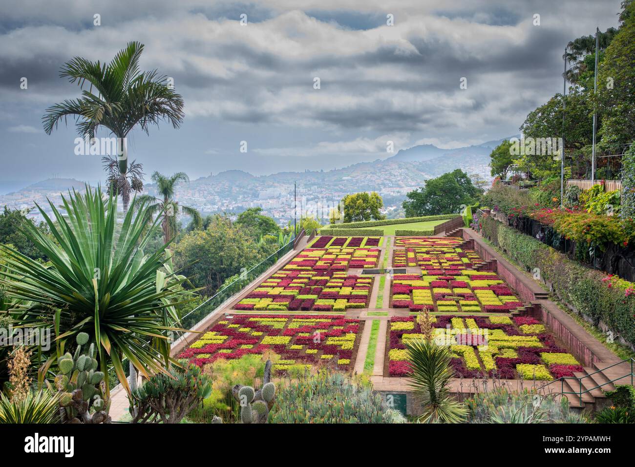 Funchal Botanical Garden, red and green beds form patterns, Madeira ...