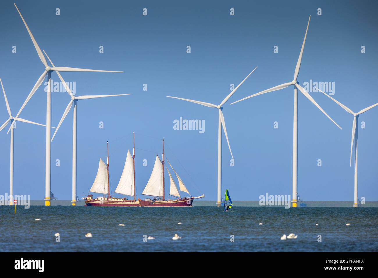 Three-masted schooner sails on the Ijsselmeer in front of a wind farm ...