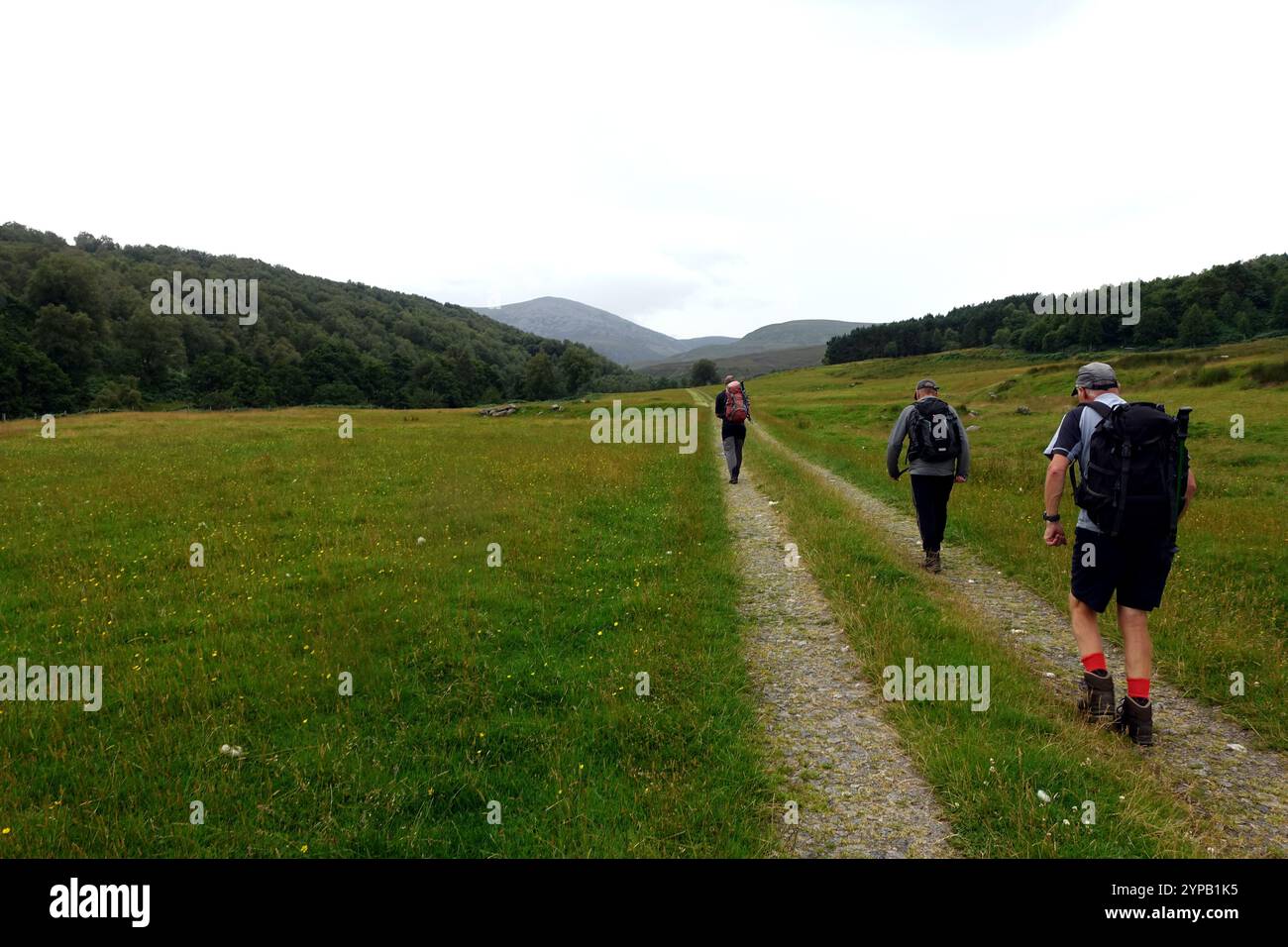 Three Hikers Walking on Track in Glen Calvie to the Scottish Mountain ...