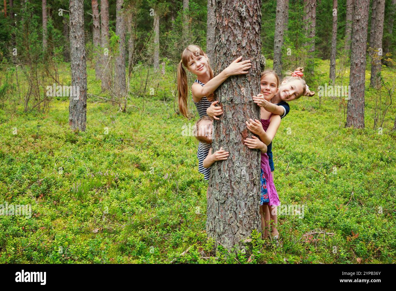 Four young girls hugging pine tree in the middle of a vibrant green ...