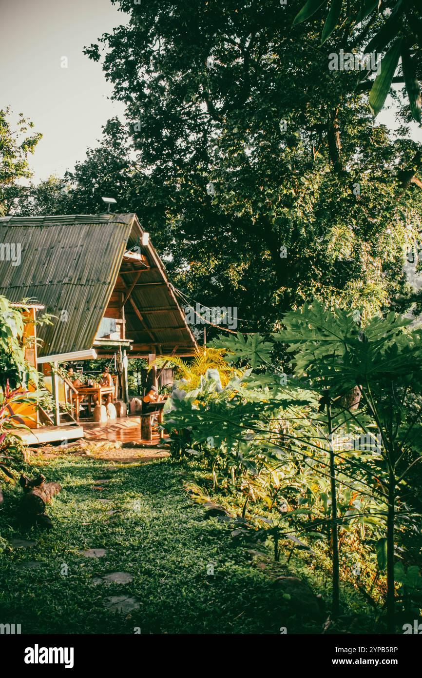Colombian Jungle Shack Stock Photo - Alamy