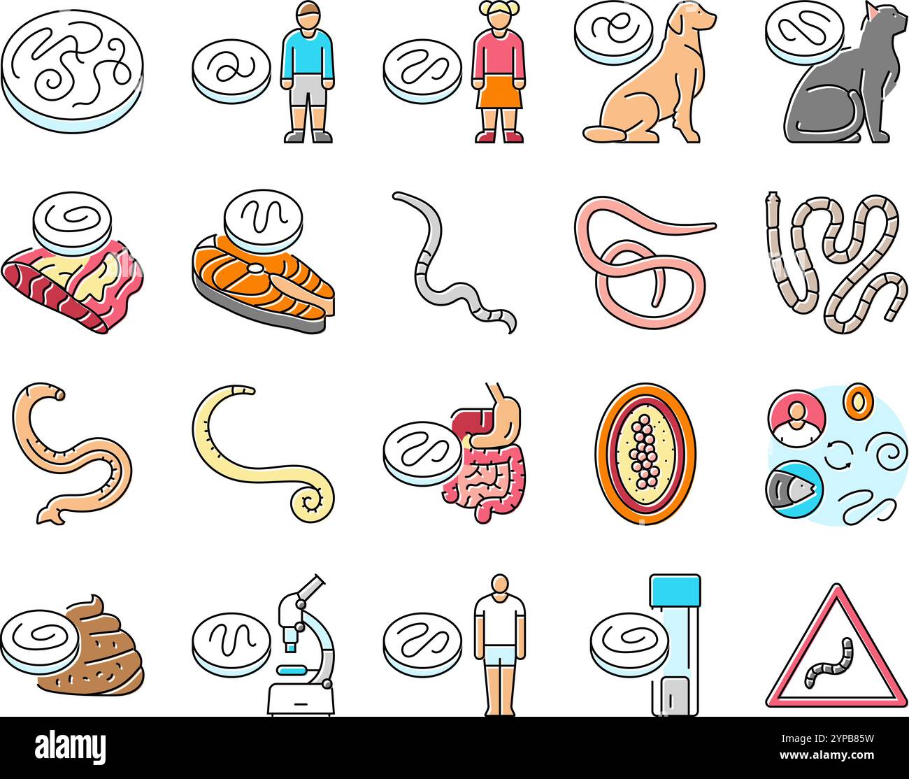 helminth worm parasite roundworm icons set vector Stock Vector Image ...