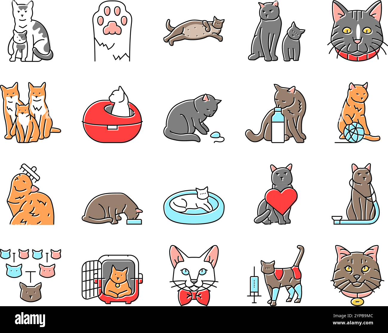 cat breeding genetics cattery icons set vector Stock Vector Image & Art ...