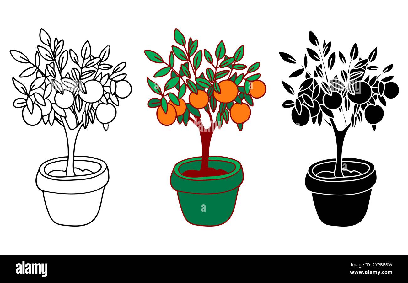 Clementine home Stock Vector Images - Alamy