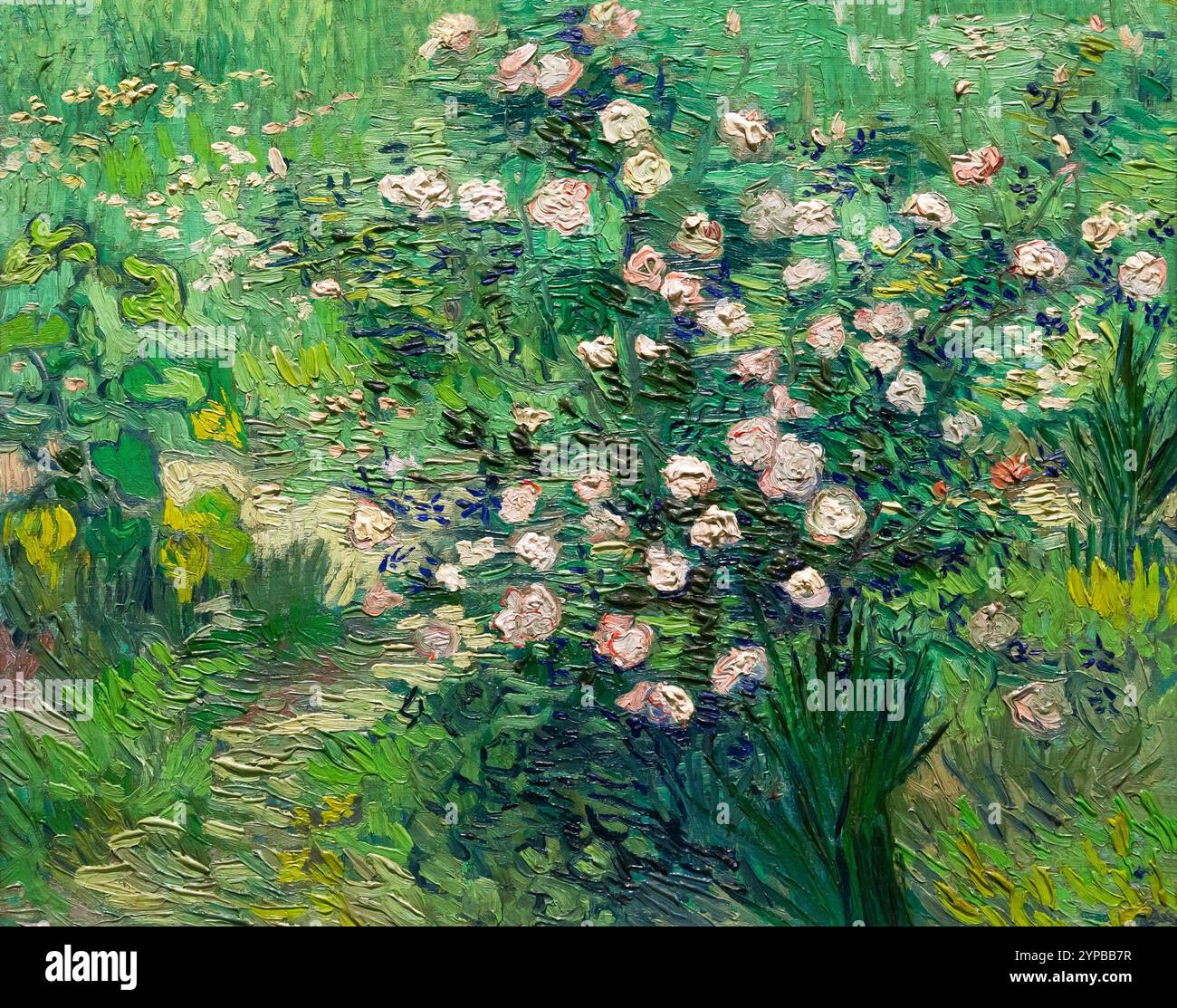 Roses, Vincent van Gogh, 1889 Stock Photo - Alamy