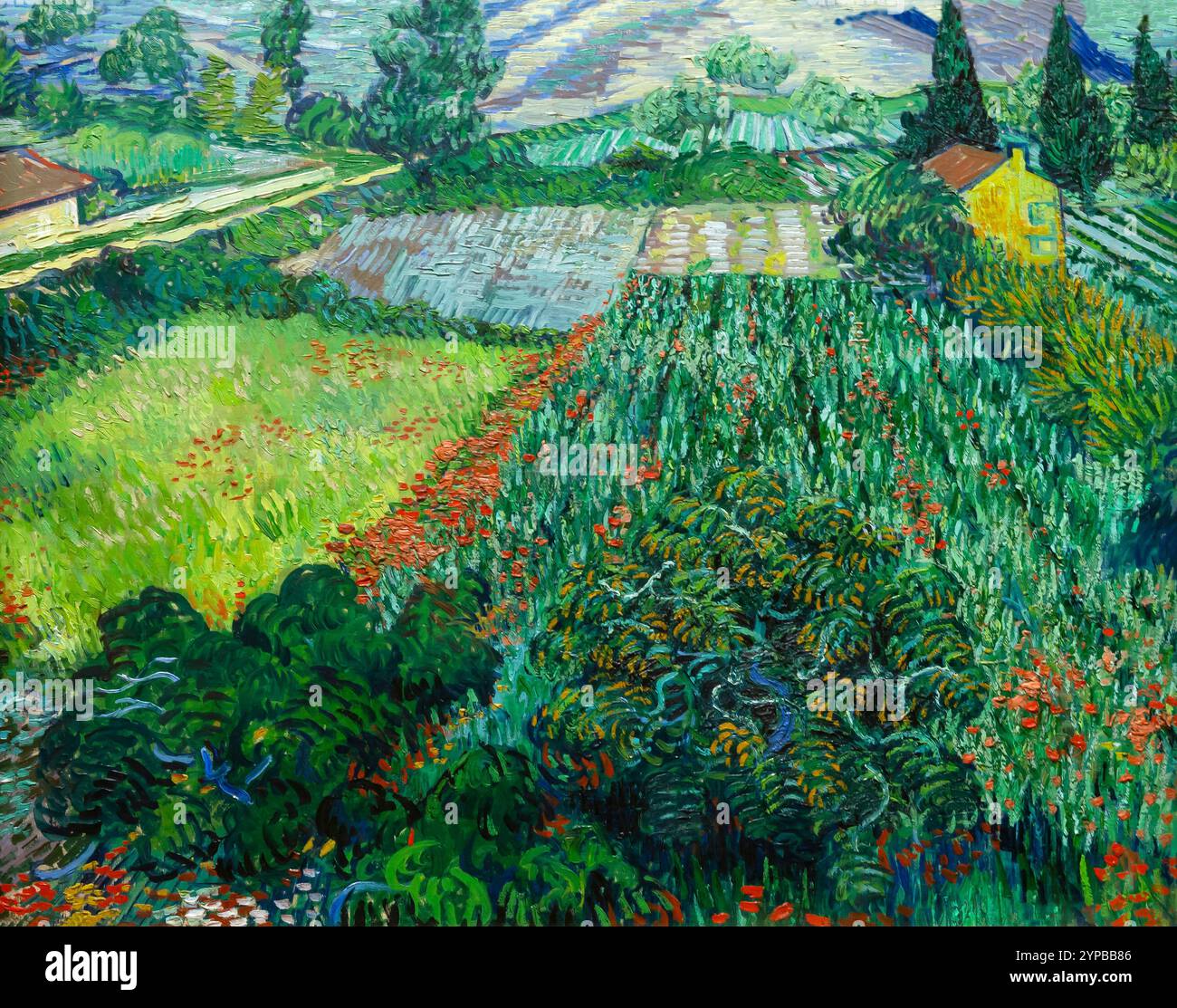 Field with Poppies, Vincent van Gogh, 1889, Kunsthalle, Bremen Stock ...