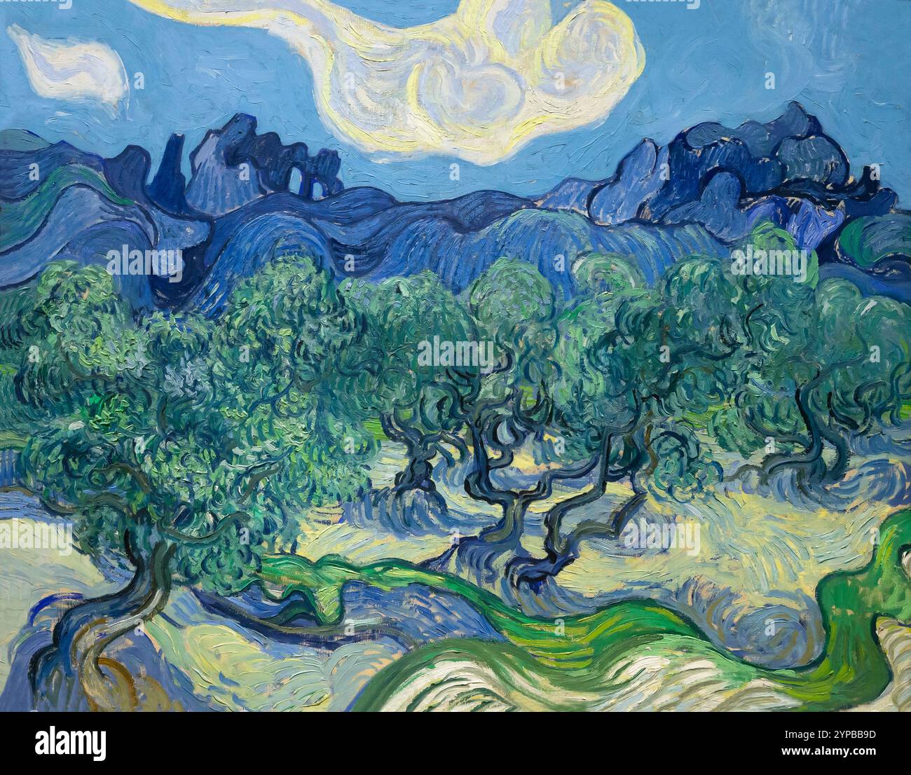 The Olive Trees, Vincent van Gogh, 1889 Stock Photo - Alamy