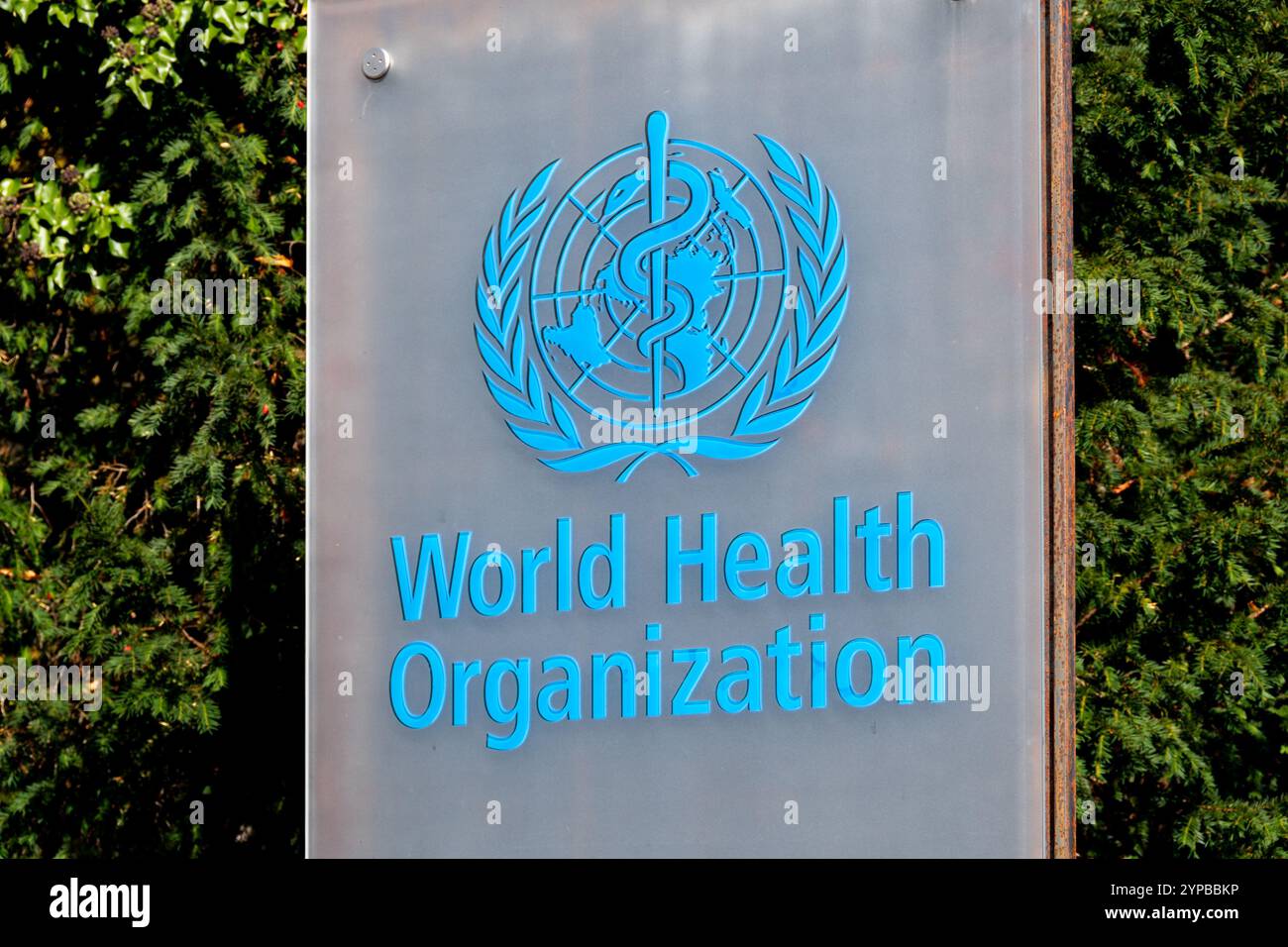 World Health Organization Logo Png Apps Von World Health Organization