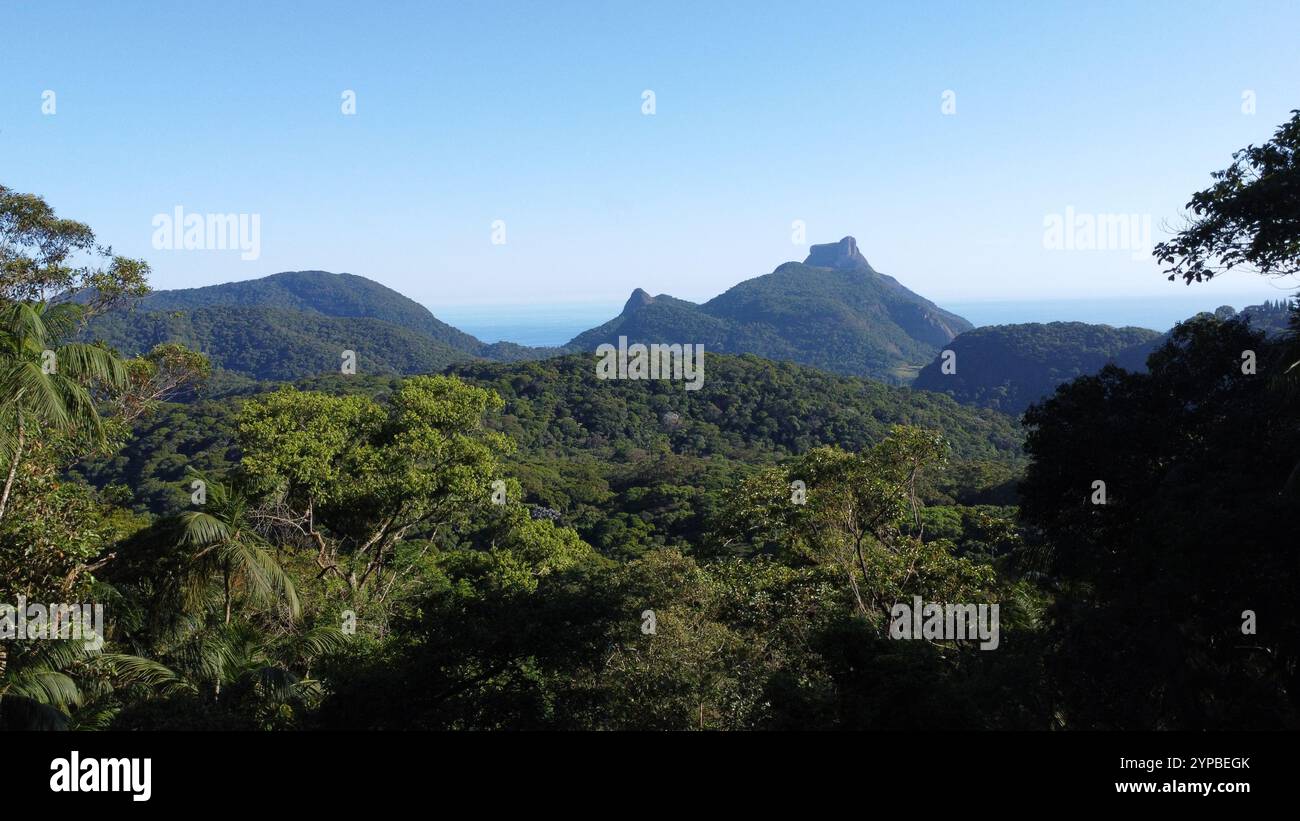 Aerial view of Tijuca National Park, the largest urban forest in the ...
