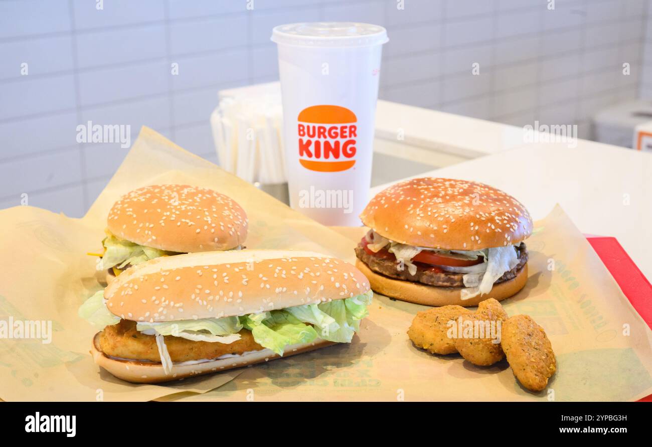 Hanover, Germany. 29th Nov, 2024. ILLUSTRATION - A tray with plant ...