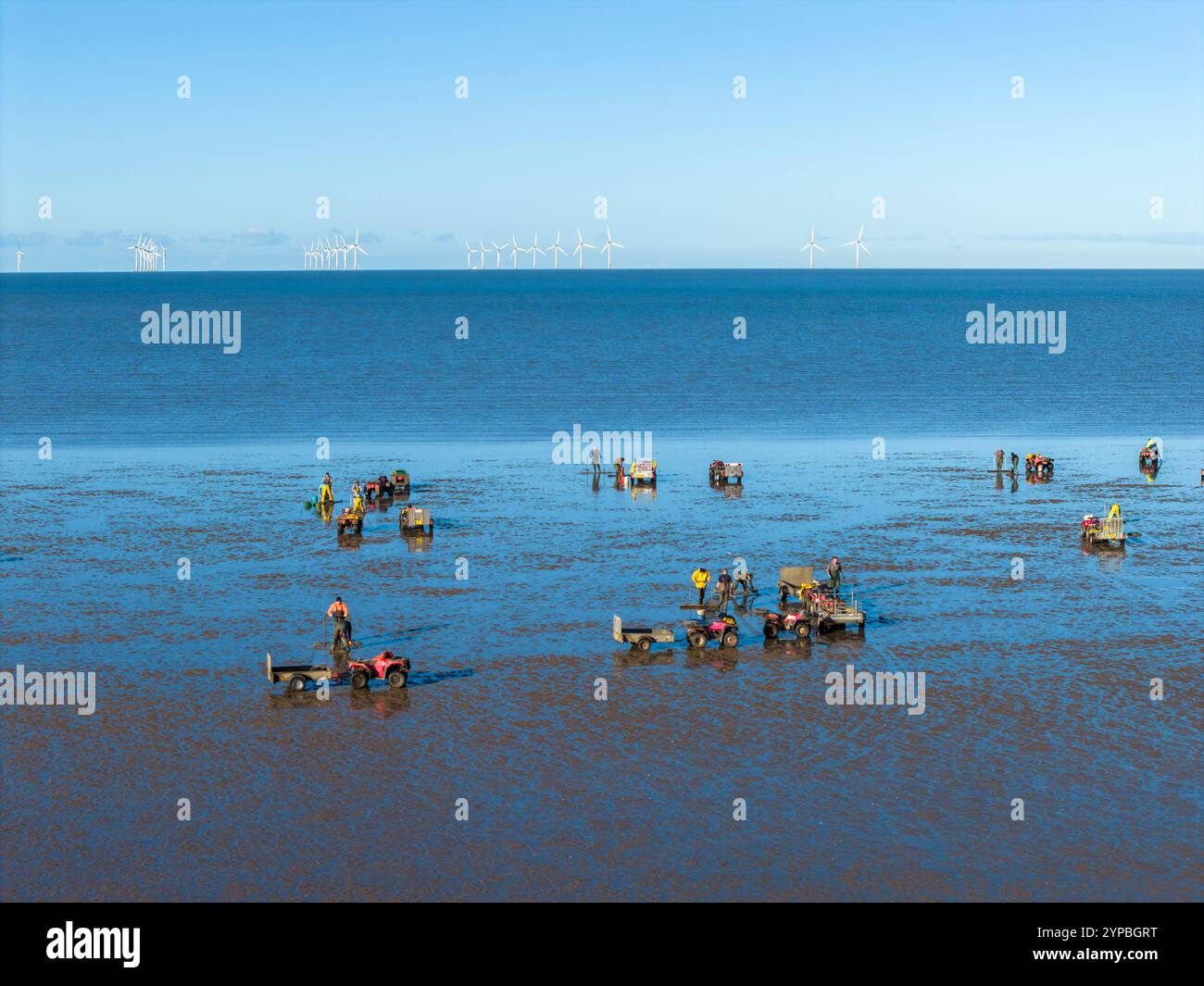 Cockle pickers hi-res stock photography and images - Alamy