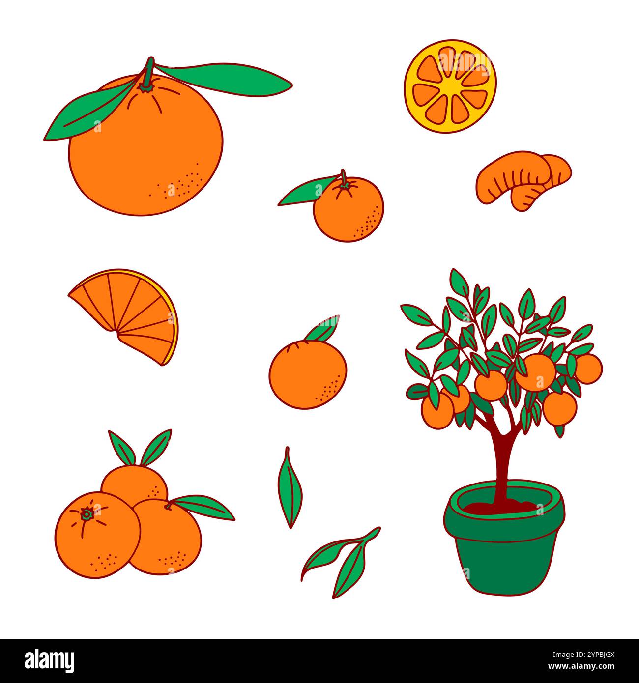 Clementine vector vectors hi-res stock photography and images - Alamy