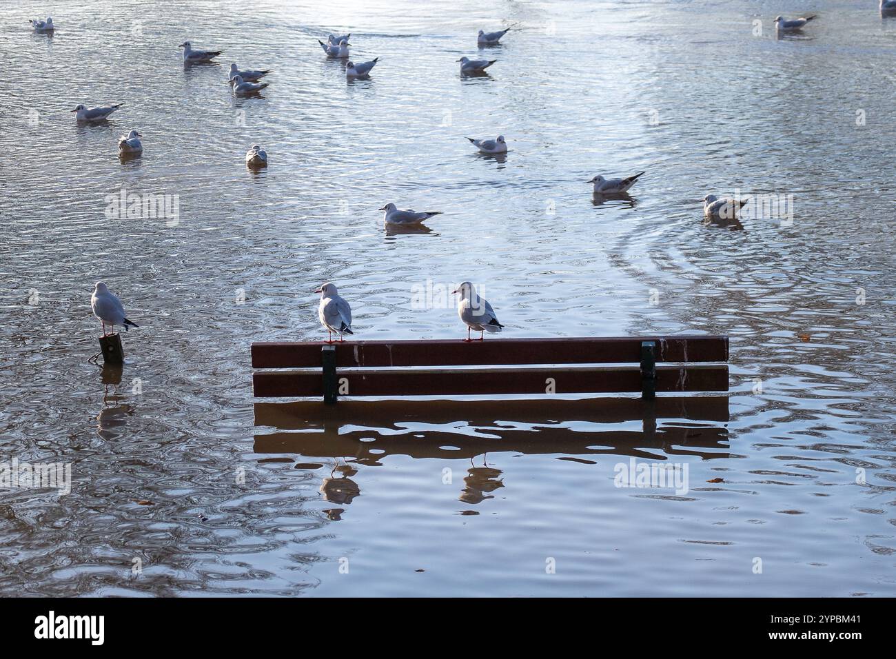 Datchet, UK. 29th November, 2024. A Flood Alert is in place for the ...
