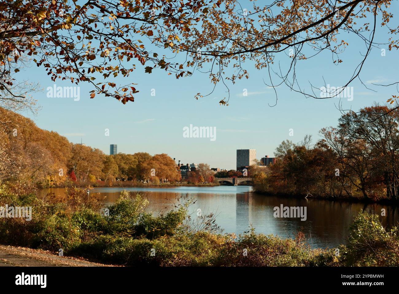 Boston in Fall, MA, USA Stock Photo - Alamy