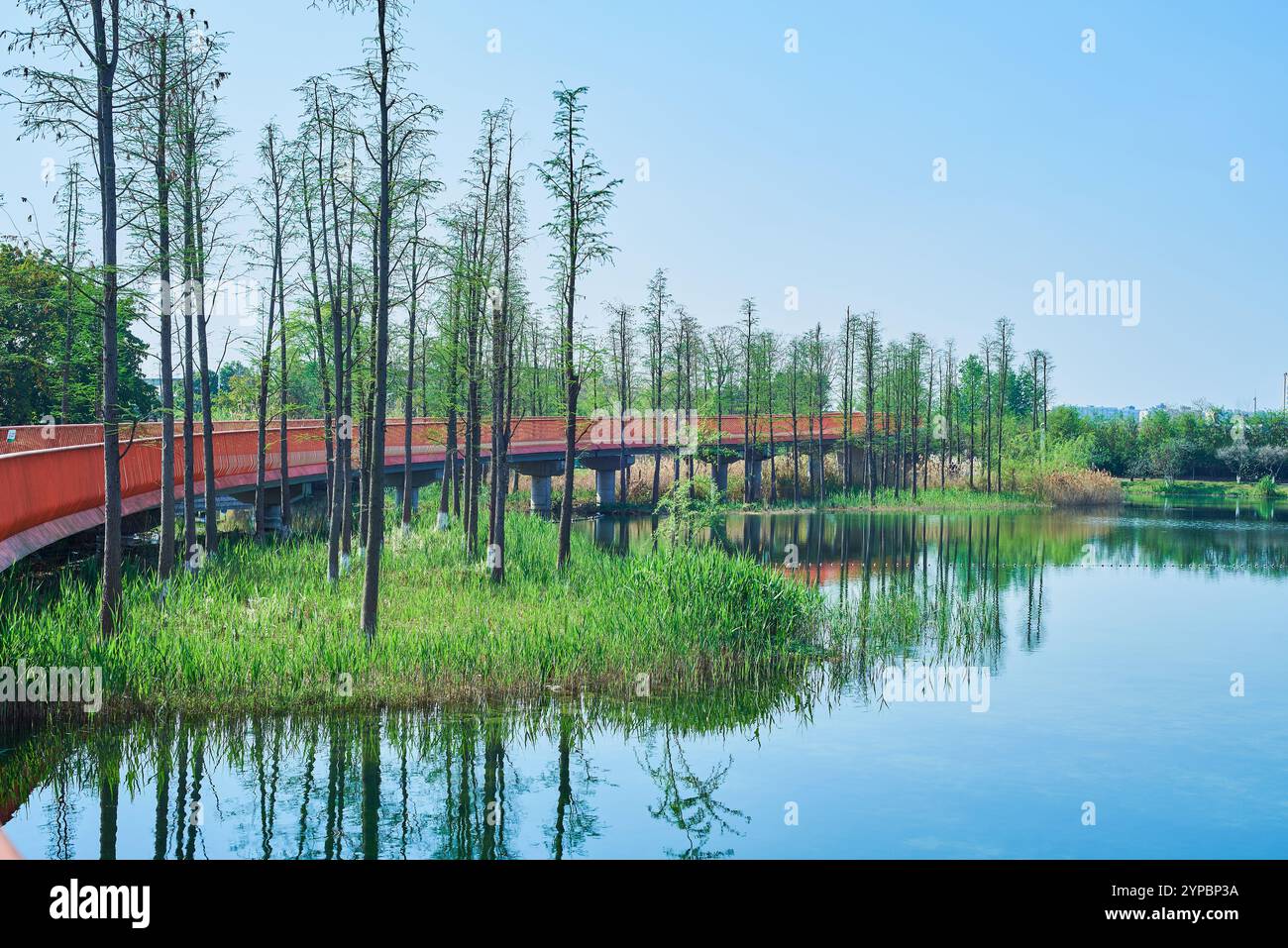 Lake scenery along the Jincheng Greenway in Chengdu, Sichuan, China ...