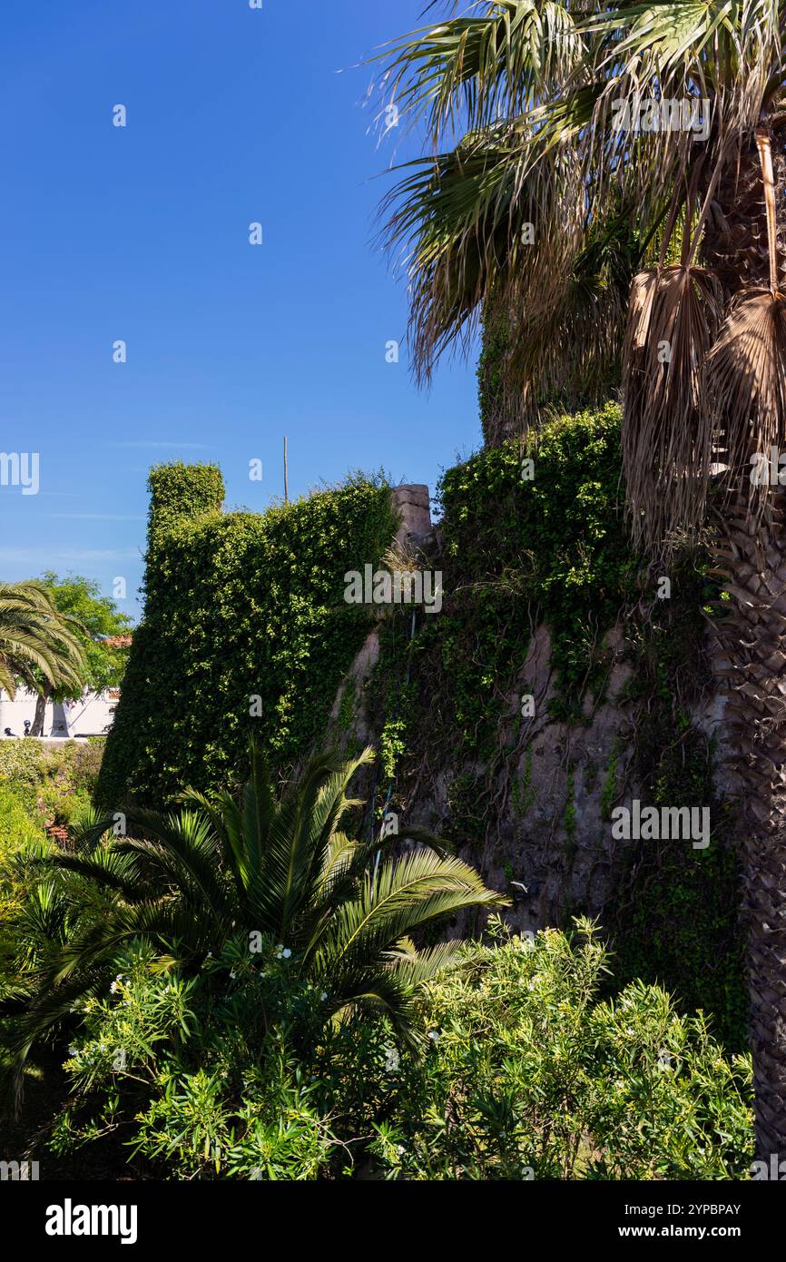 Portugal, Alentejo Region, Vila Nova de Milfontes, Ivy-covered ...