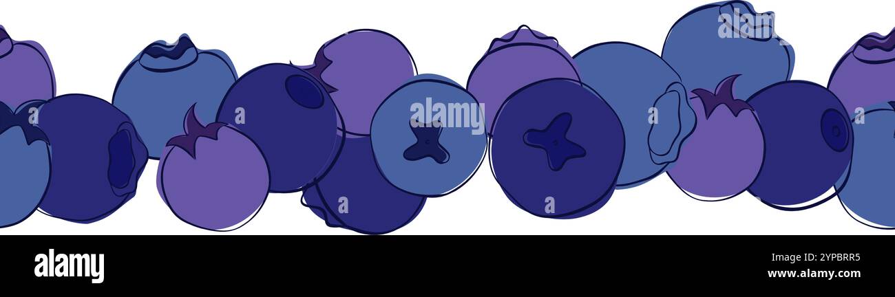 Seamless border of blueberry. Vector graphic line Botanical ...