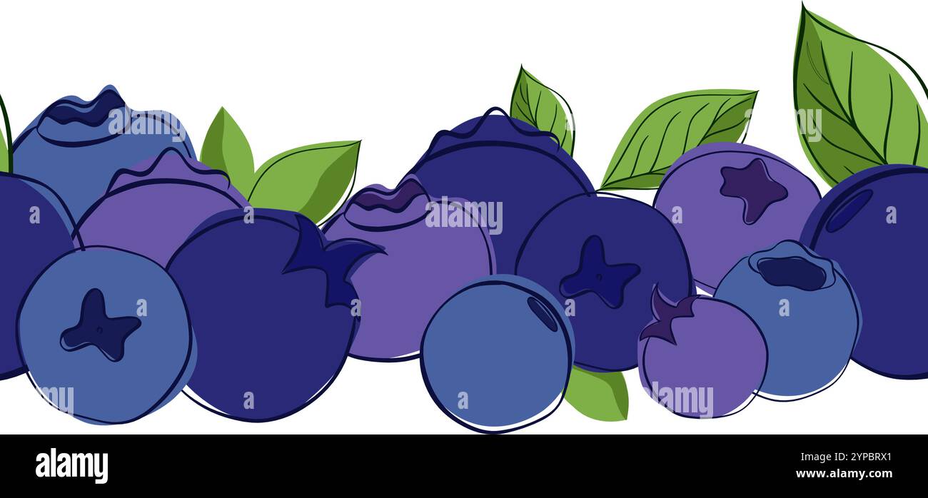 Outline graphic natural seamless border with blueberries and leaves ...