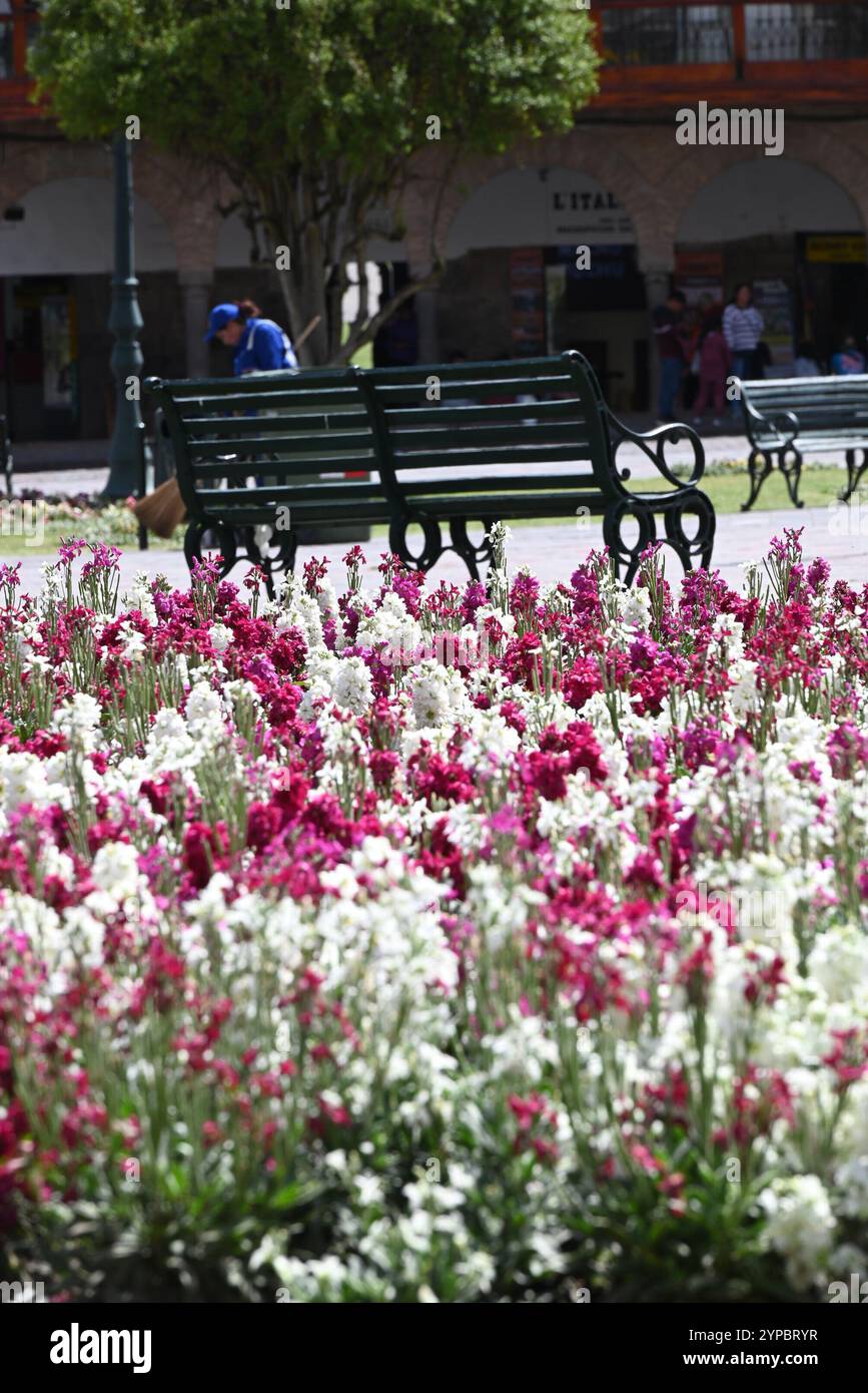 Peru flowers are the main protagonist, with the colors of the main ...