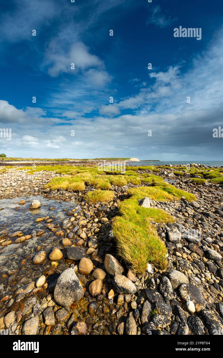 Barna hi-res stock photography and images - Alamy