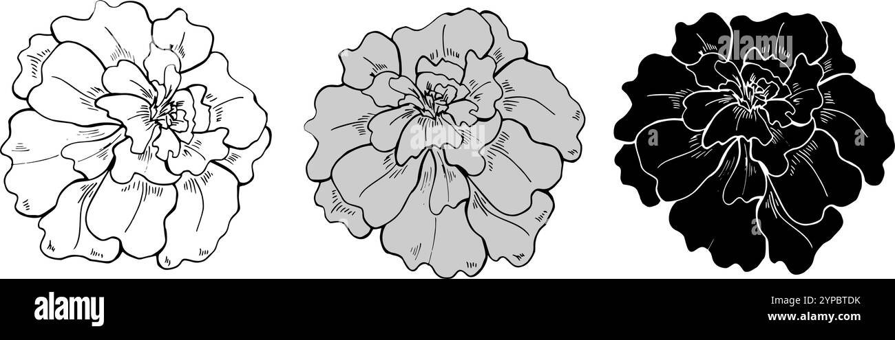 Marigold tattoo Cut Out Stock Images & Pictures - Alamy