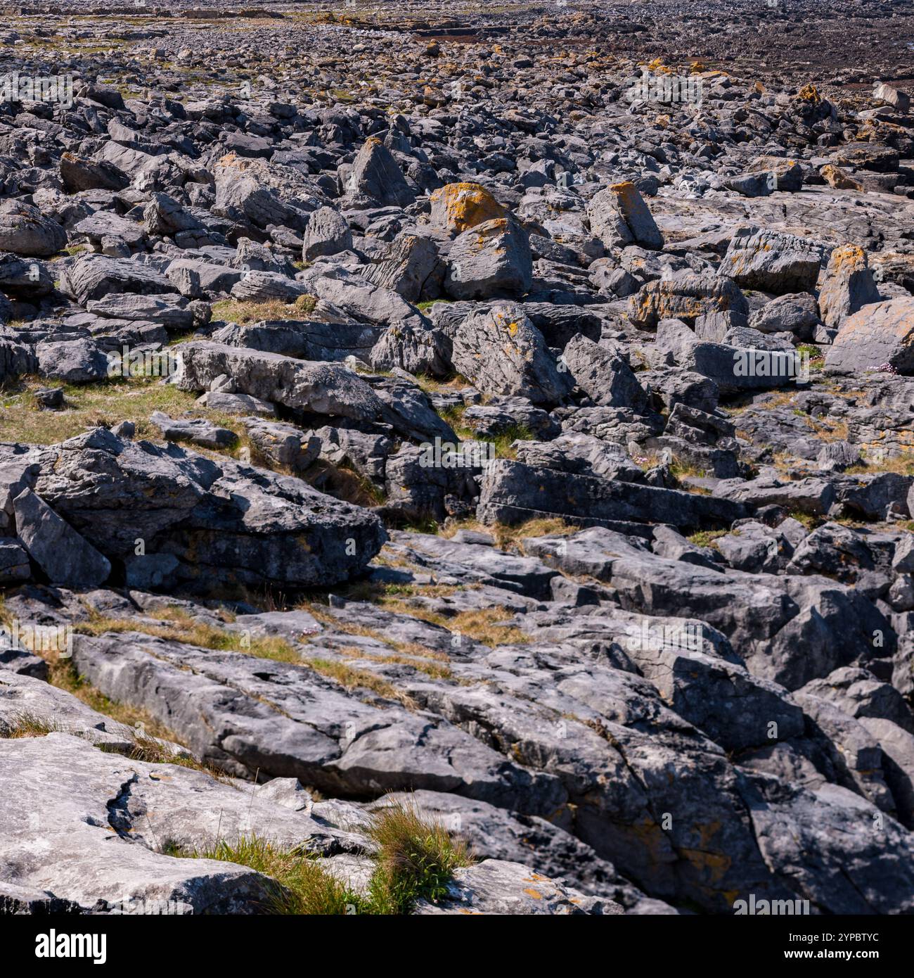 limestone pavement the burren county clare Stock Photo - Alamy