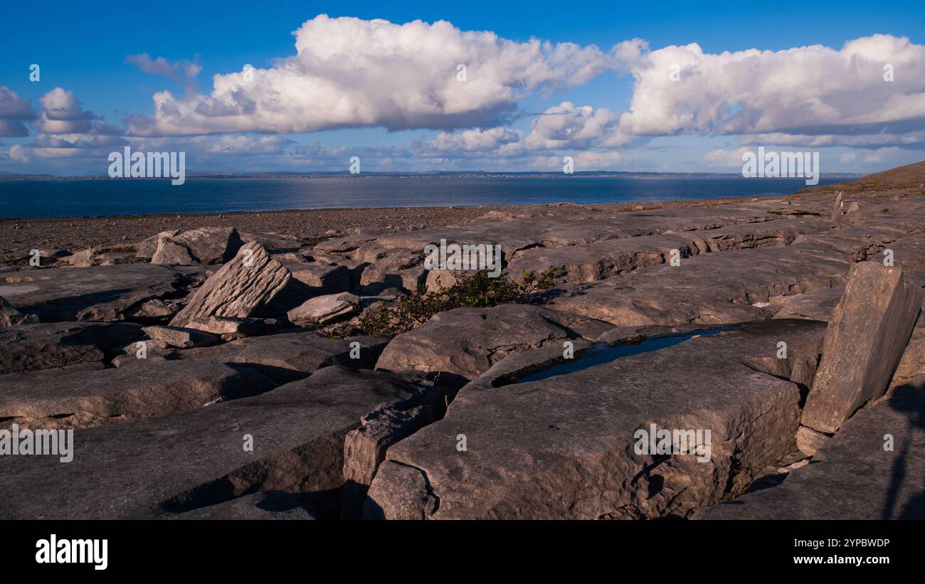 limestone pavement the burren Stock Photo - Alamy