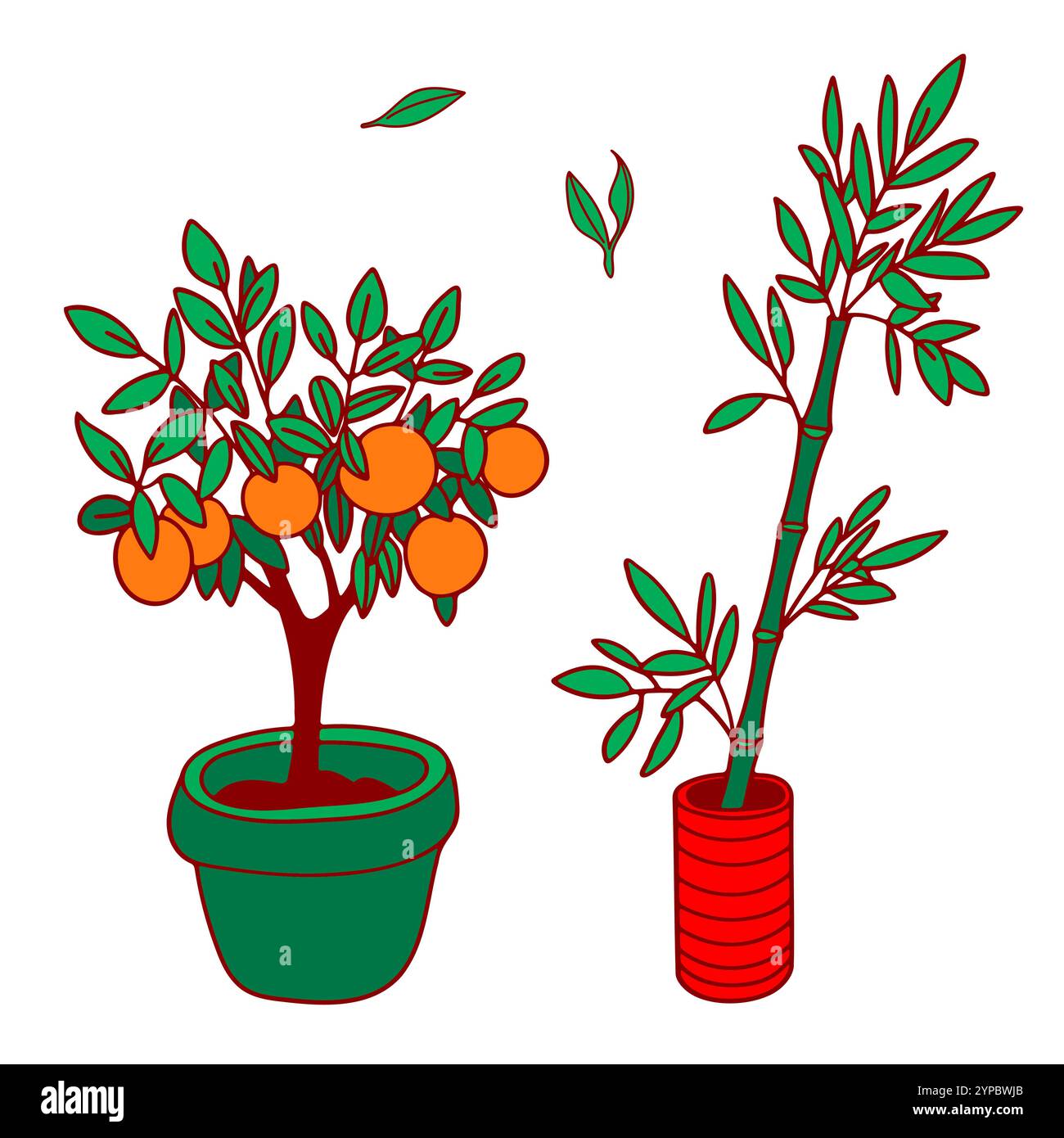 Decorative plants. Bamboo sprouts, orange tree Stock Vector Image & Art ...
