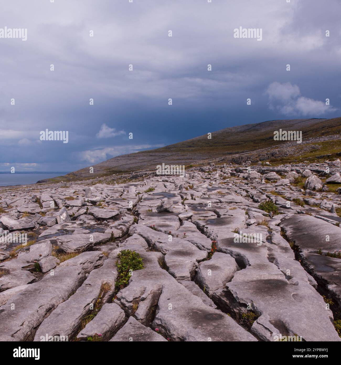 limestone pavement the burren Stock Photo - Alamy