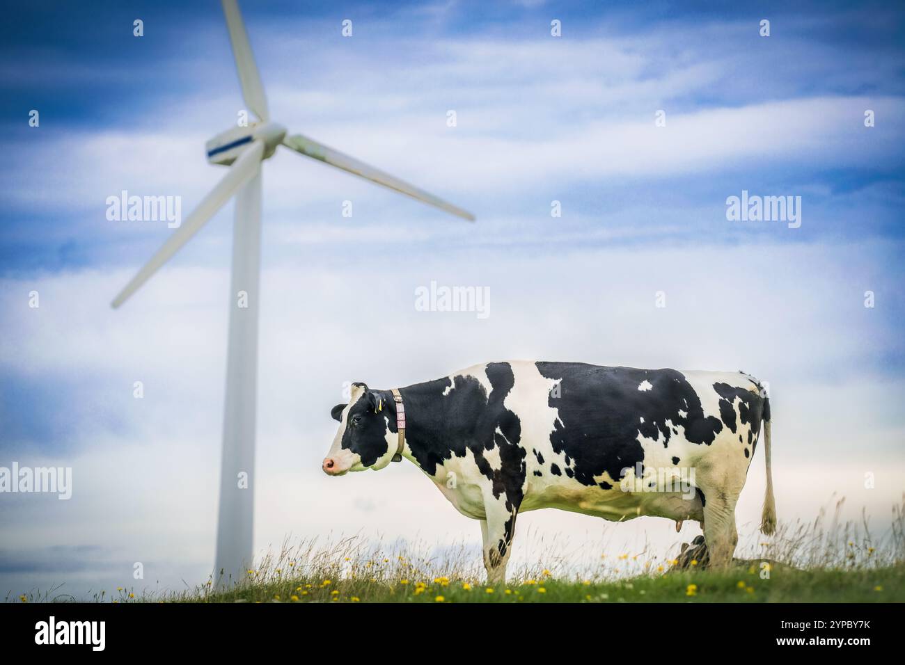 Wind energy. Ecology green energy concept. Eco farm. Eco farming. Green ...