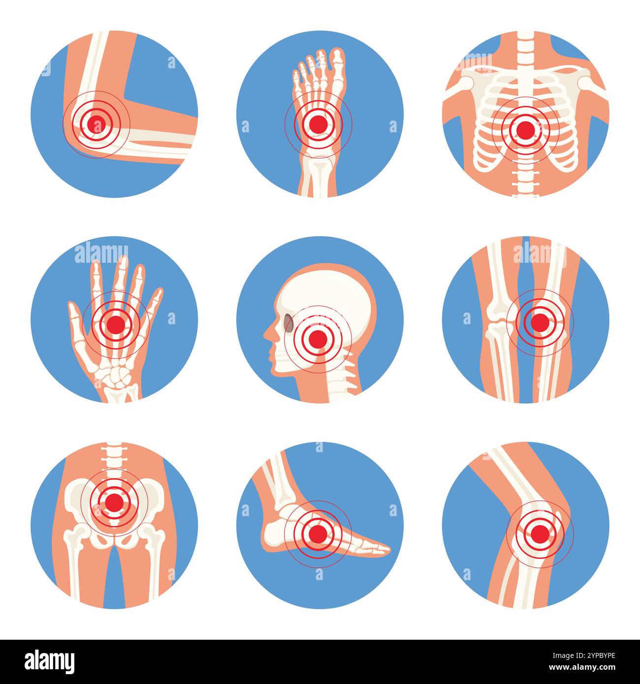 Parts of human body on x ray view. Different x-rays shot of human body ...
