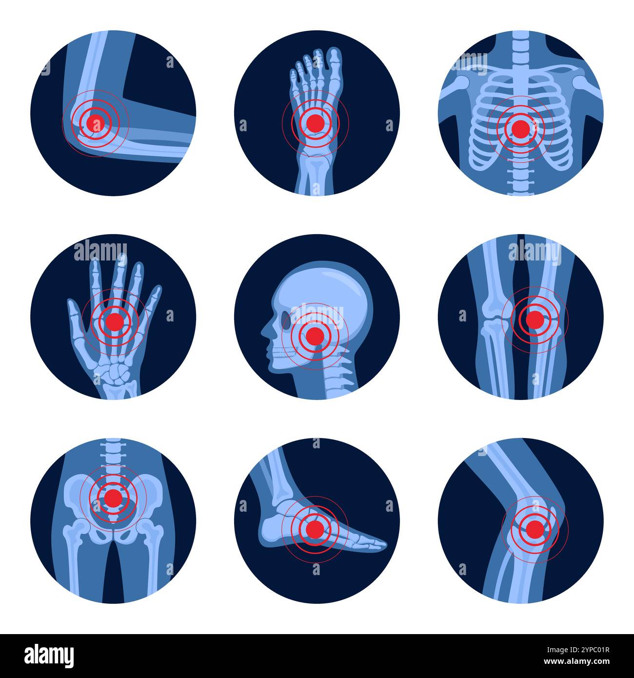 Parts of human body on x ray view. Different x-rays shot of human body ...